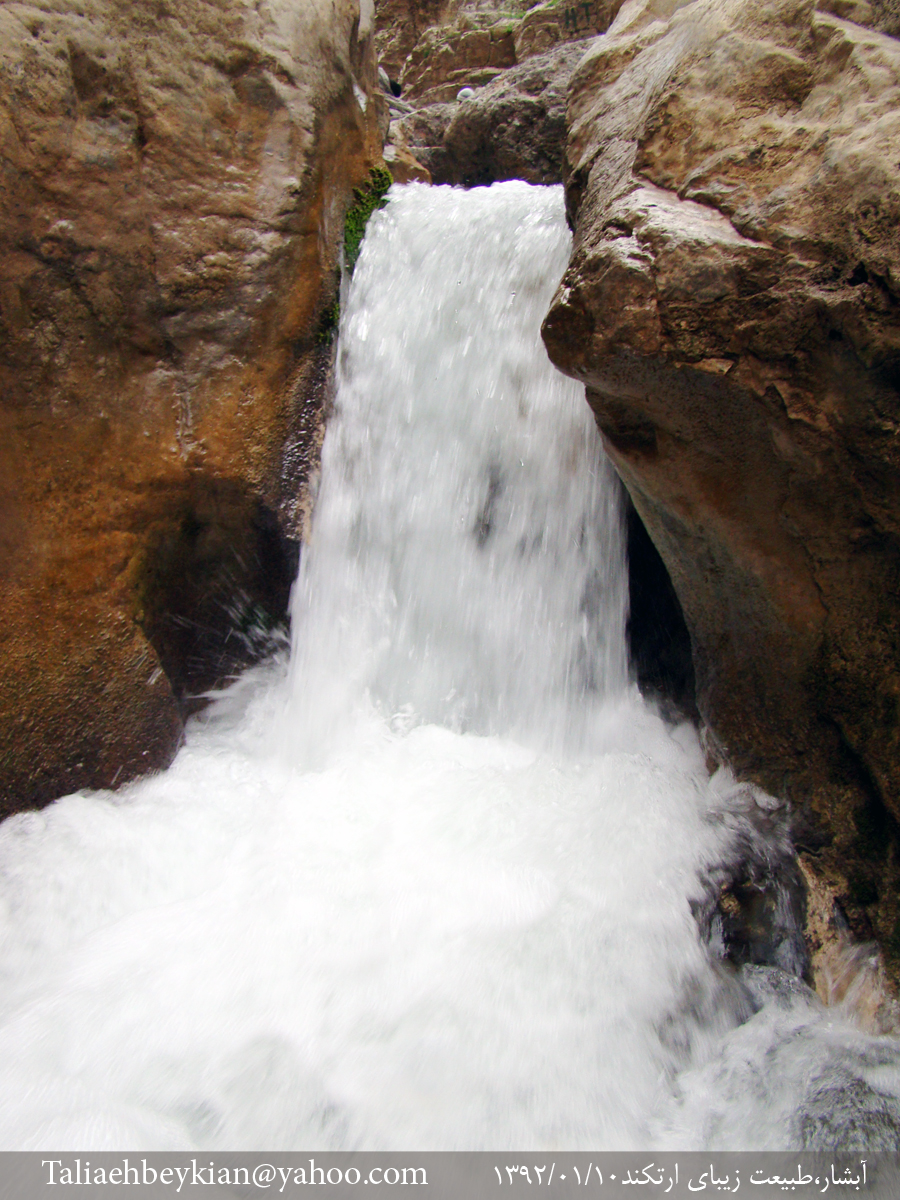 گلدان شمعدانی