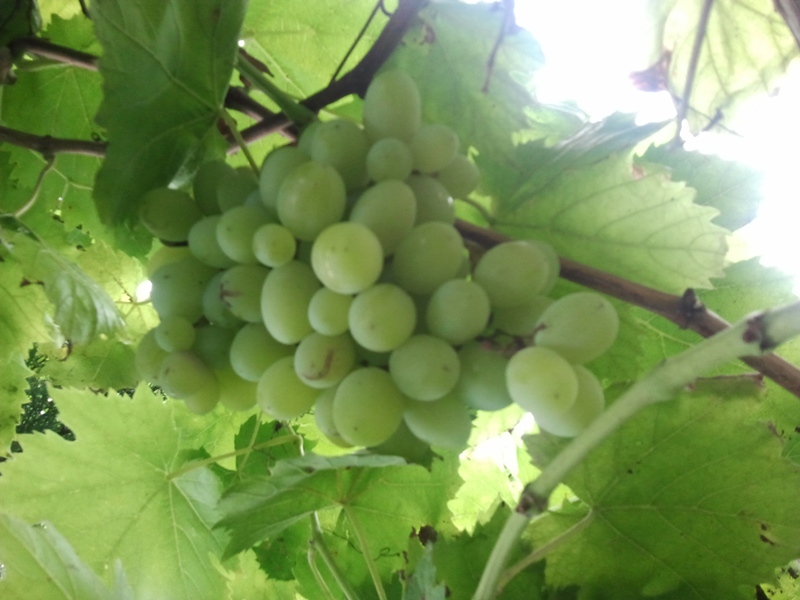 تالار گفتگوی بیداری اندیشه-فتوگرافي هاي من ( از چشم تو ميبينم دنيايمان ...